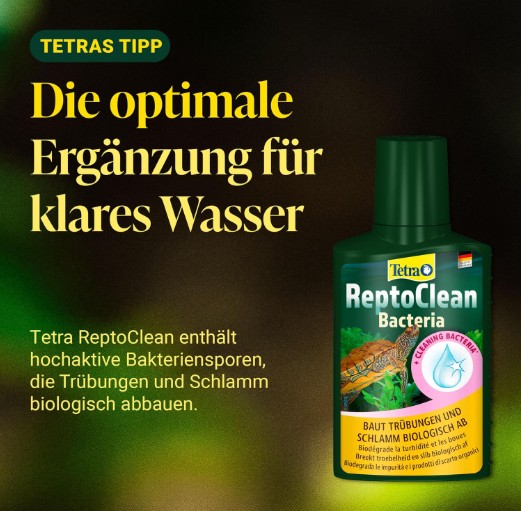 Tetra ReptoSafe 250 ml – REBIE - Der zoologische Versandgroßhandel